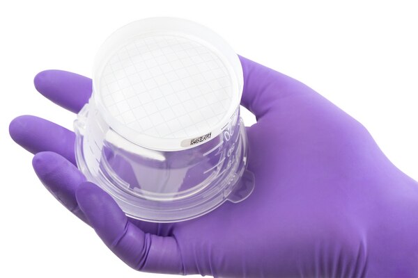 Milliflex Oasis®, 100mL, 0.45µm white gridded | MMHAWG124